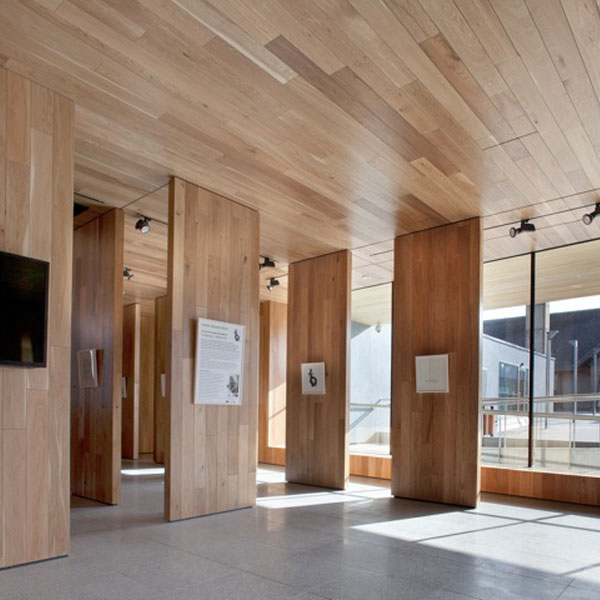 box architecture - ballyroan library